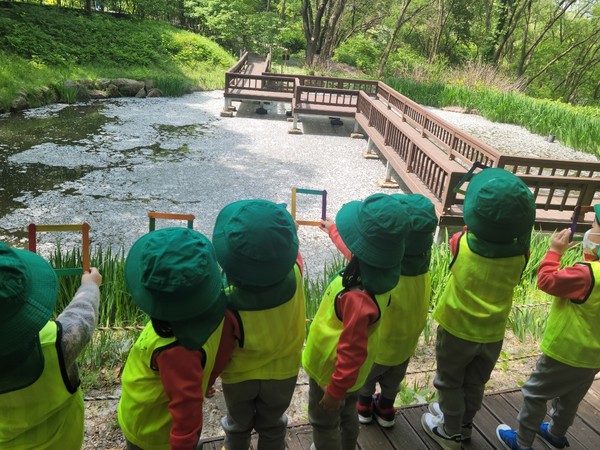 용인시, 26일부터 유아숲체험·학생 대상 숲해설 참여기관 모집